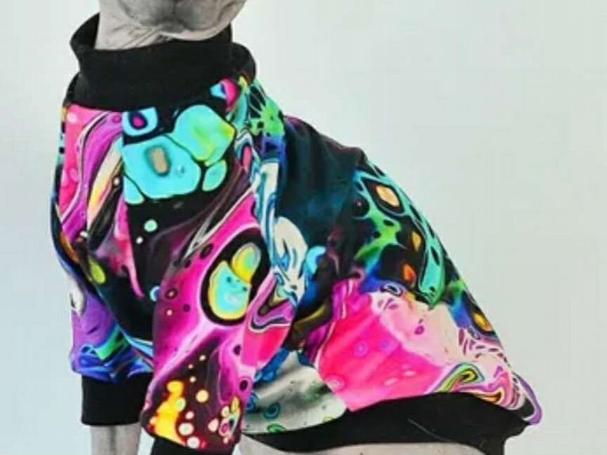 Одежда для кошек и собак