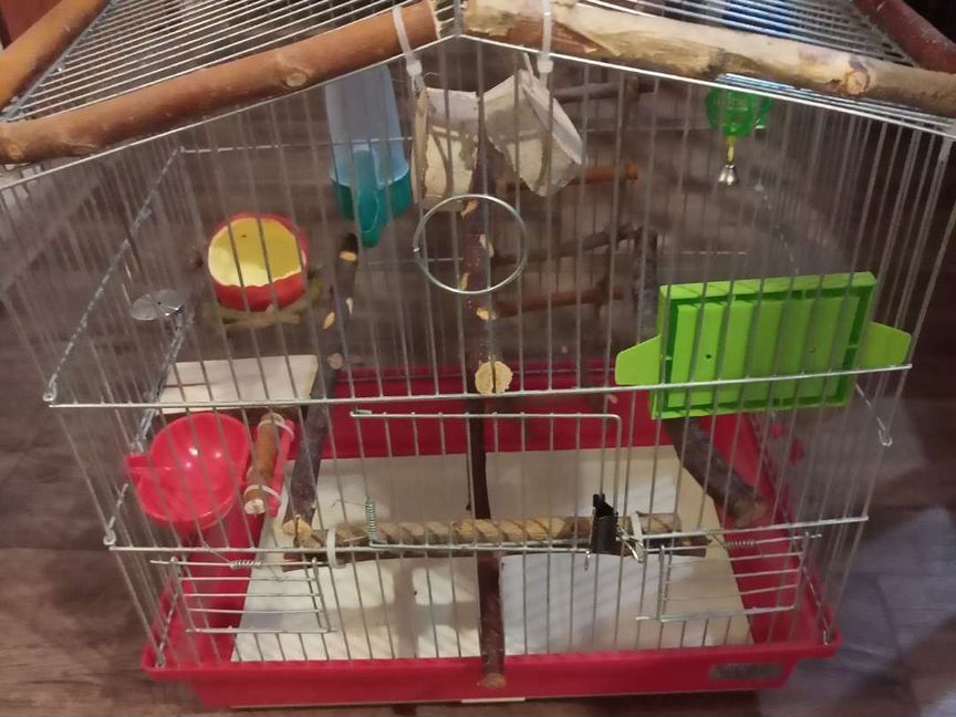 Клетка для птиц