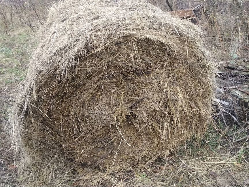 Продам сено в тюках