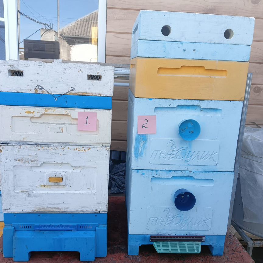 Ульи ППУ 10 рамок Дадан бу