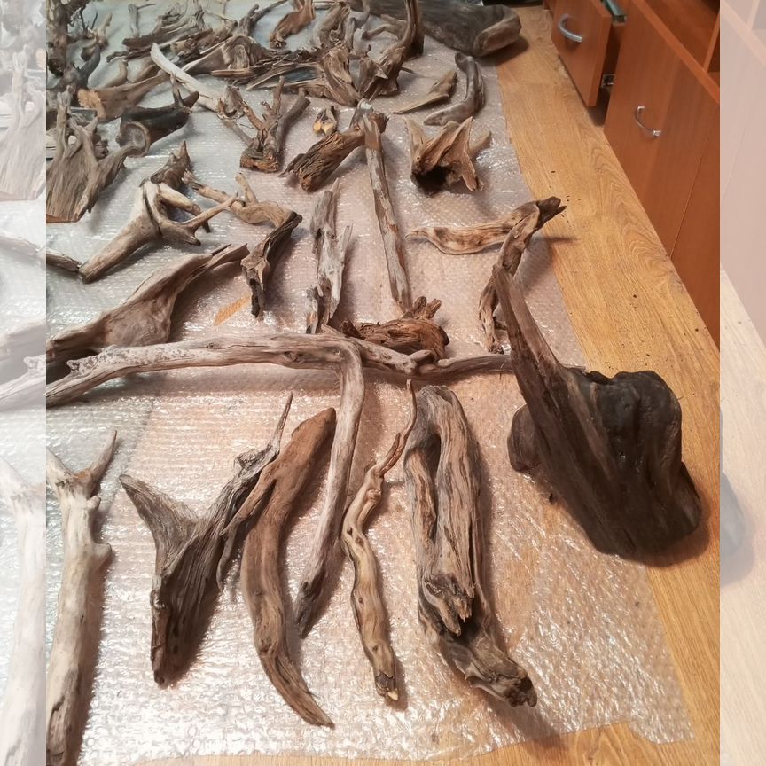 Коряги для аквариума Дерево Ива
