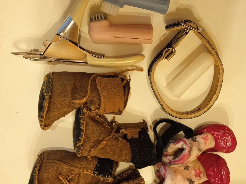 Обувь, зуб.щетка, когтерез для минисобаки