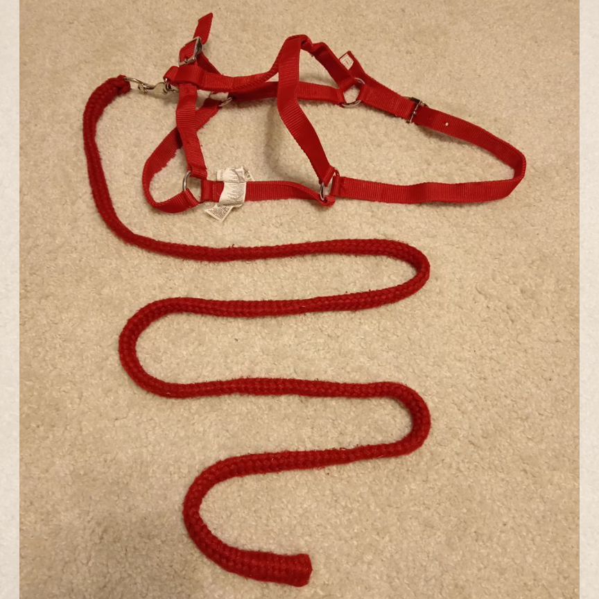 Недоуздок для лошади