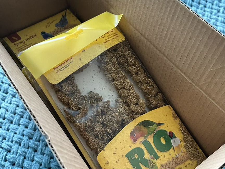 Сенегальское просо/Чумиза/Лакомство для птиц