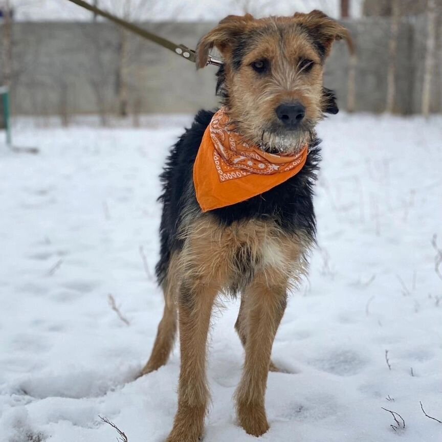 Ищет дом Аким