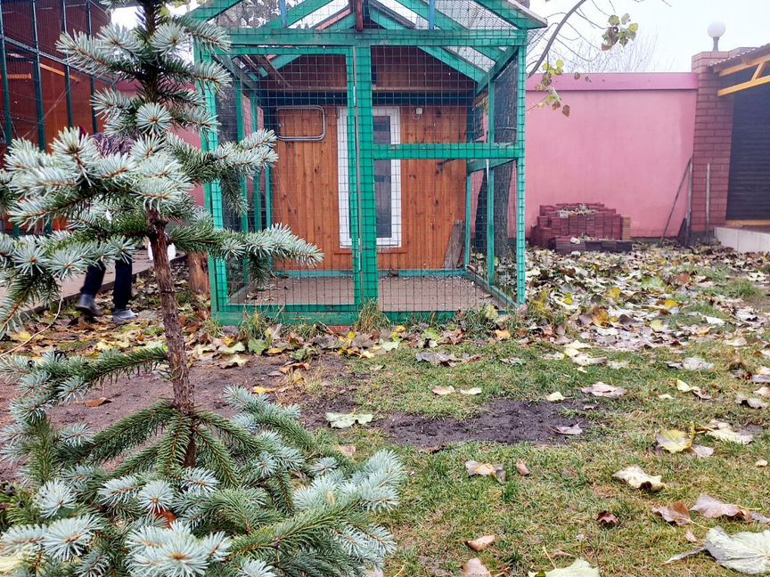 Голубятня с вальером