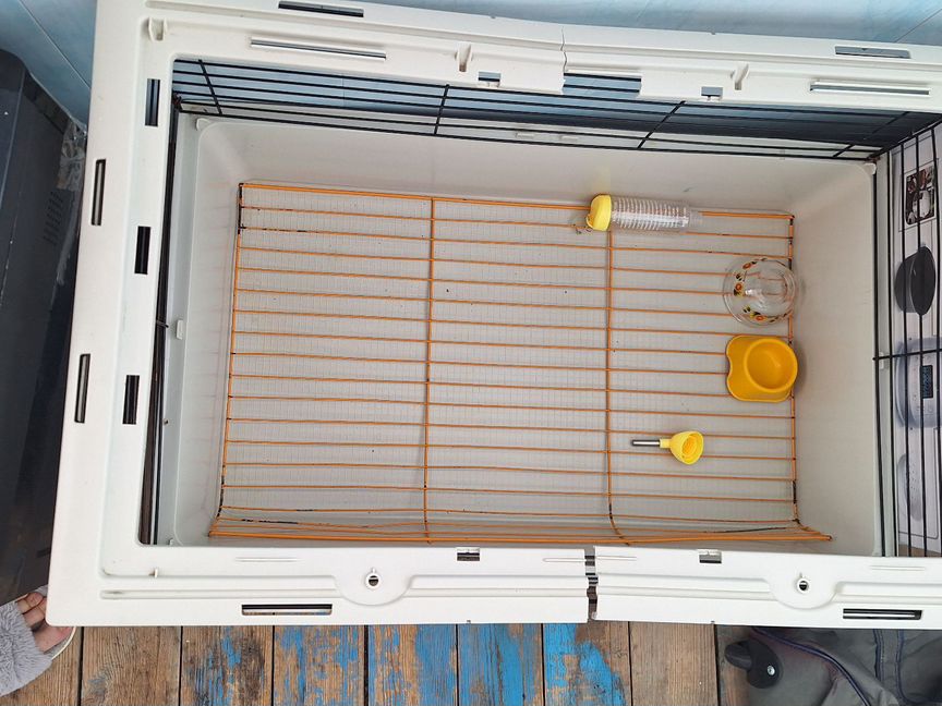 Клетка для грызунов большая