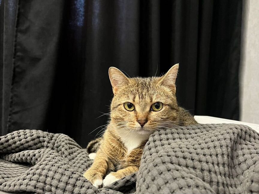 Милая девочка шпротик ждет хозяев