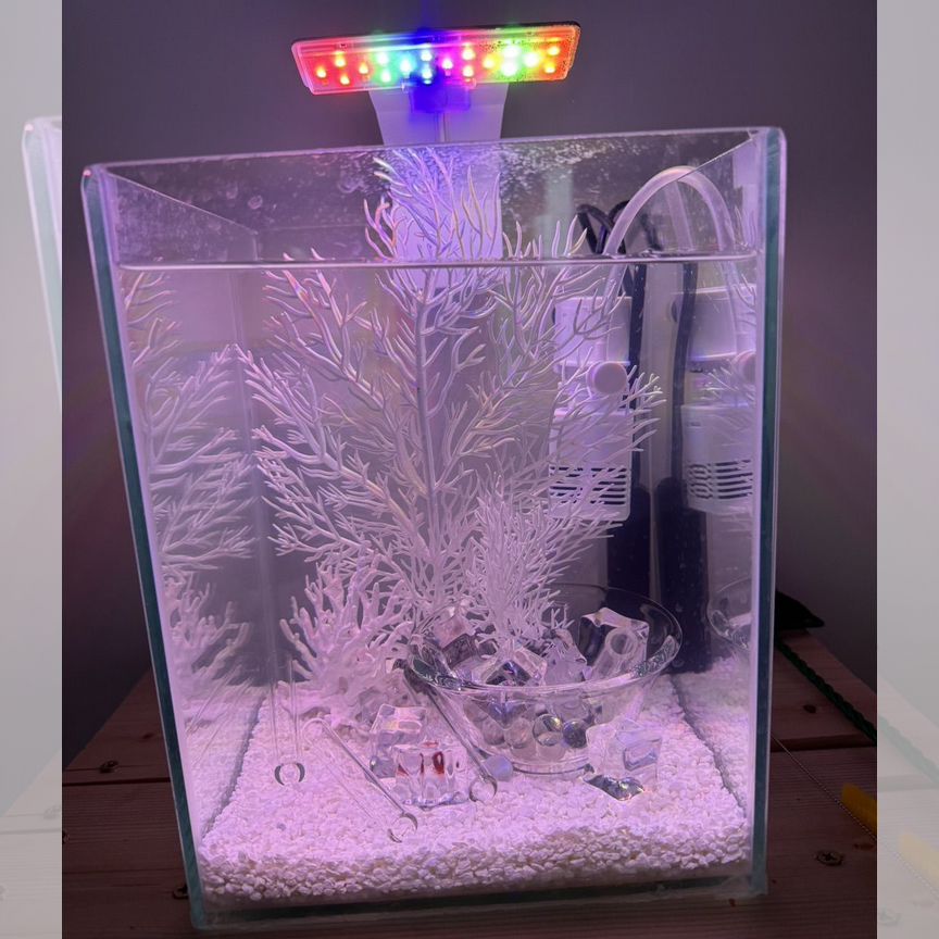 Готовый аквариум 10л дизайнерский с креветками