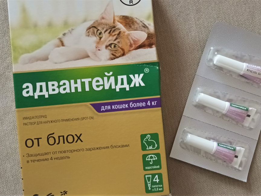 Обработка от блох (кошки)