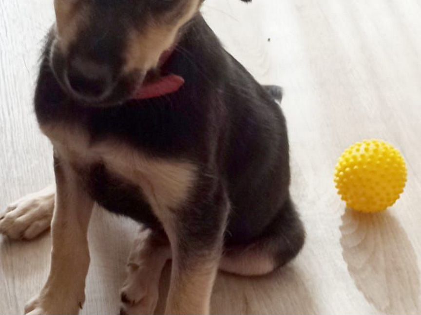 От сердца к сердцу