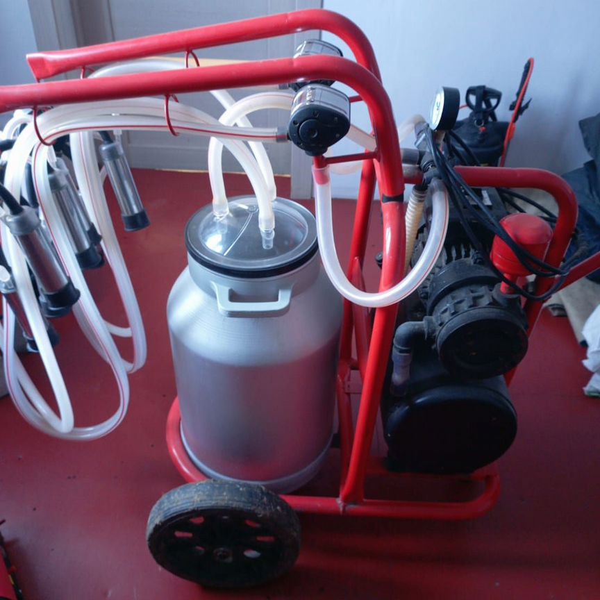 Доильный аппарат