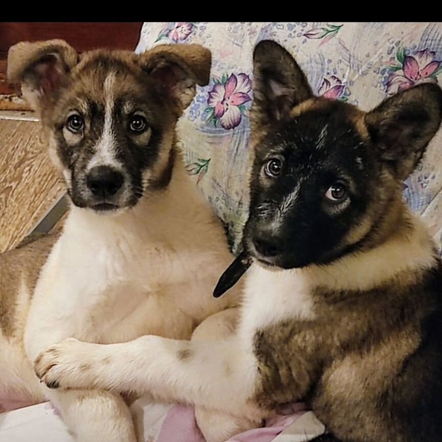 Классные парни