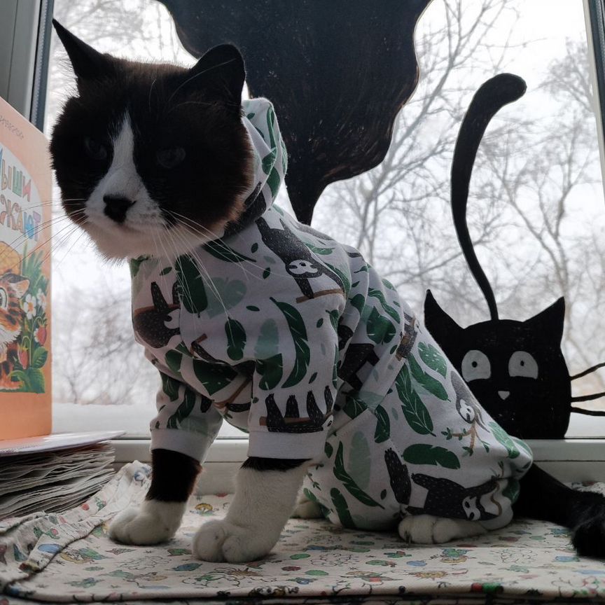 Костюм для кота на заказ