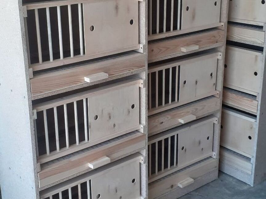 Товары для голубей на заказ