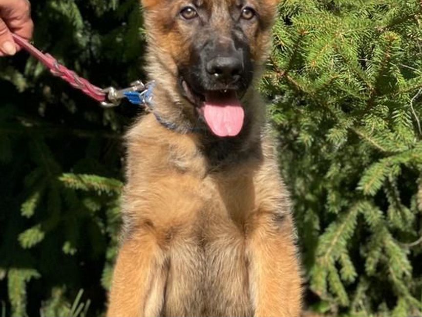 Отличный парень