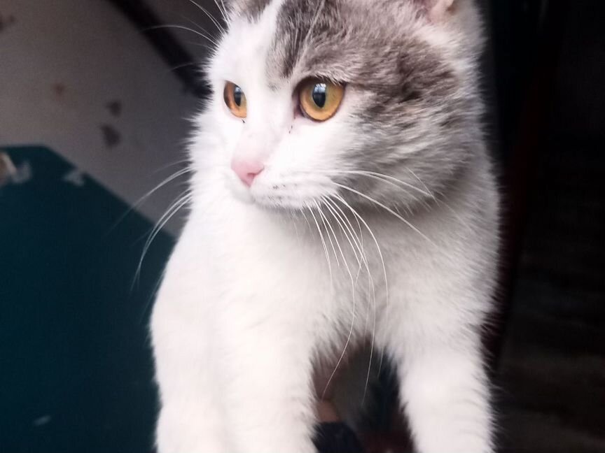 Ищу своего человека