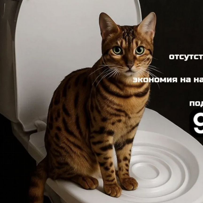 Лоток для кошек на унитаза