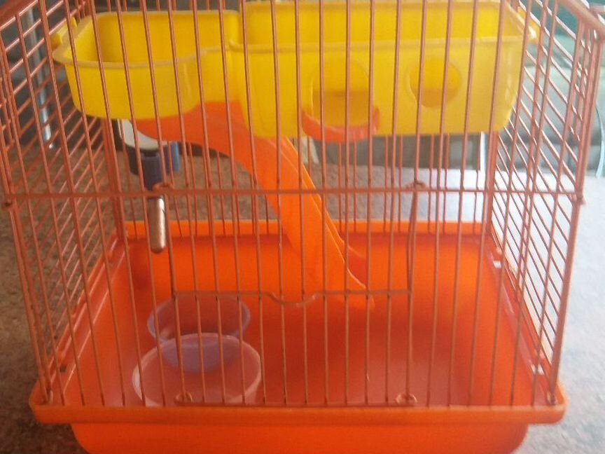 Клетка для джунгарика