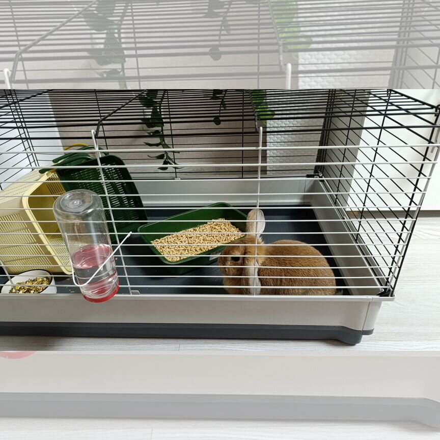 Клетка для кролика