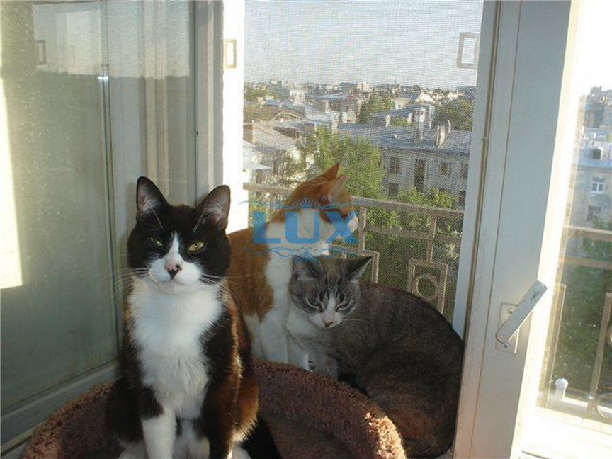 Сетка антикошка