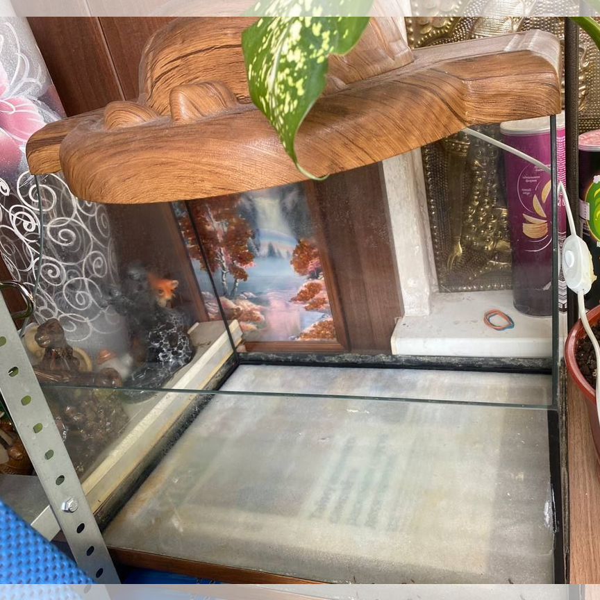 Аквариум для черепах с подсветкой