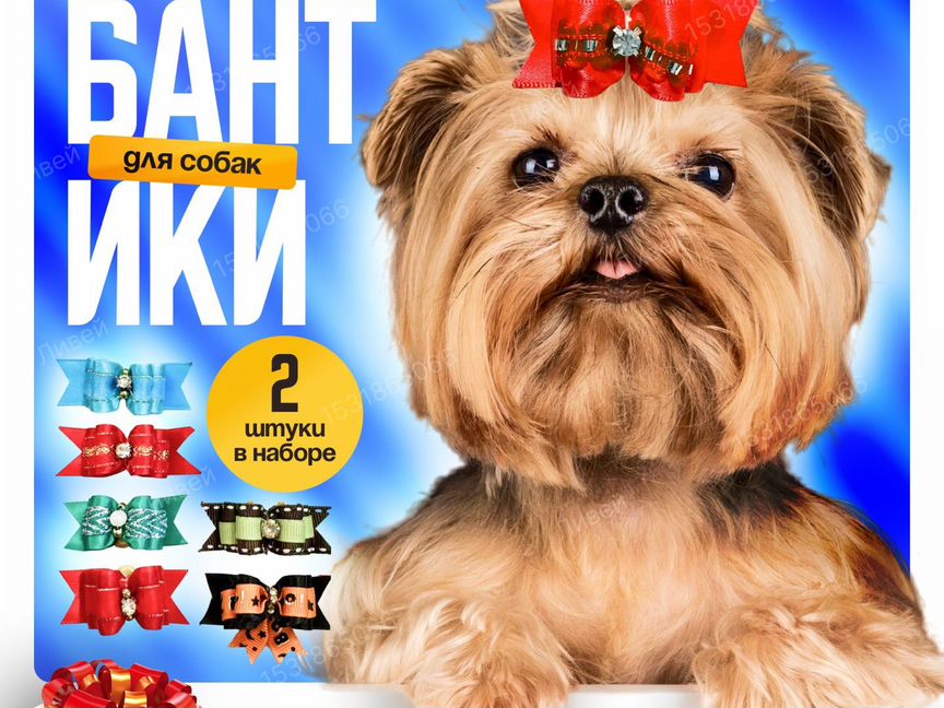 Бантики для собак