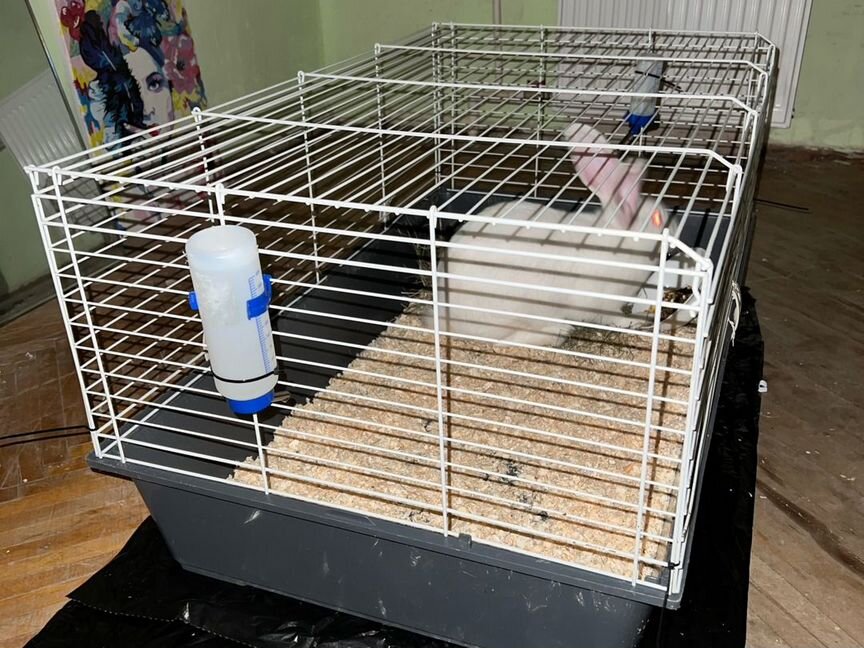 Клетка большая - 95/55/45