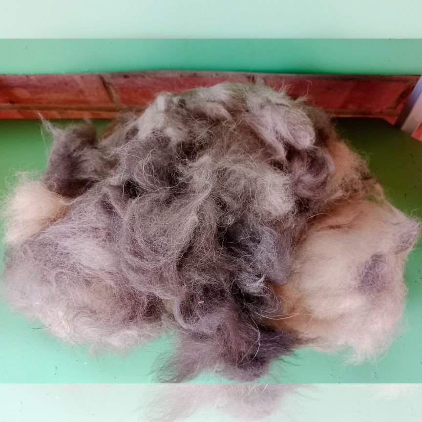 Шерсть собачья, 300 гр, пакетом