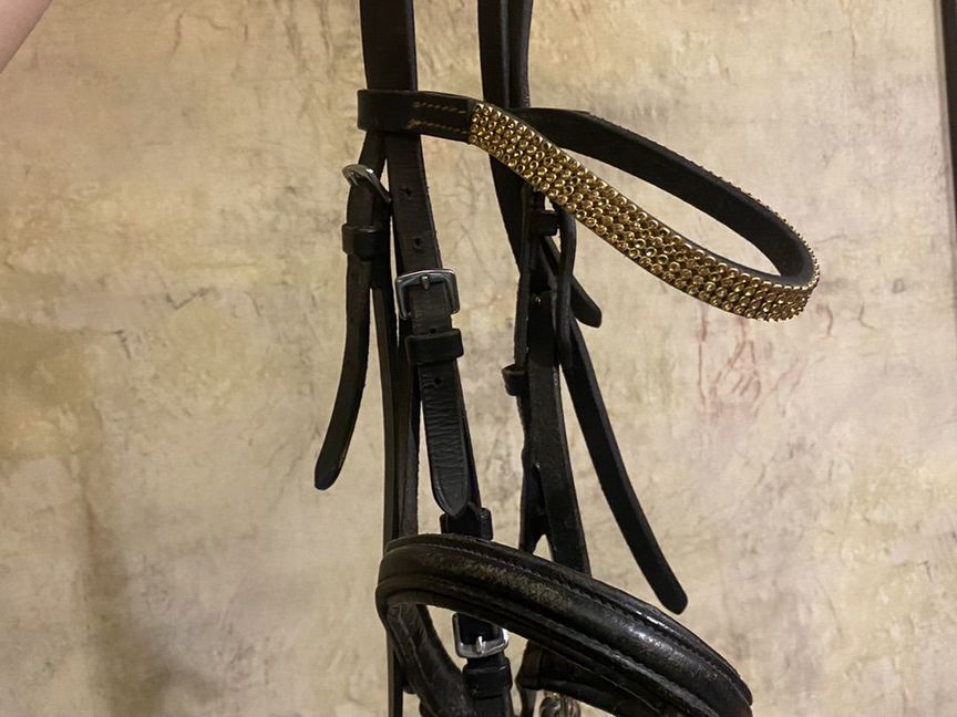 Уздечка шетти