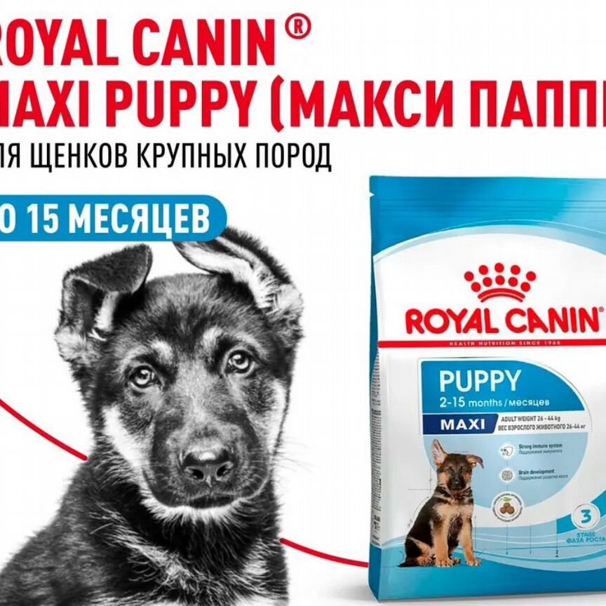 Корм для щенков royal canin puppy maxi