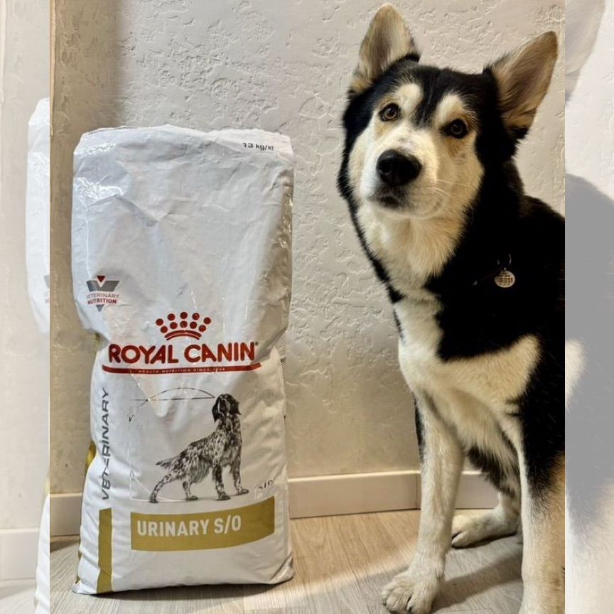 Корм Royal Canin Urinary для собак 13 кг