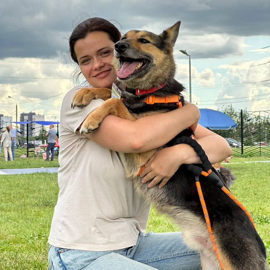 Очаровательный Пёс из приюта