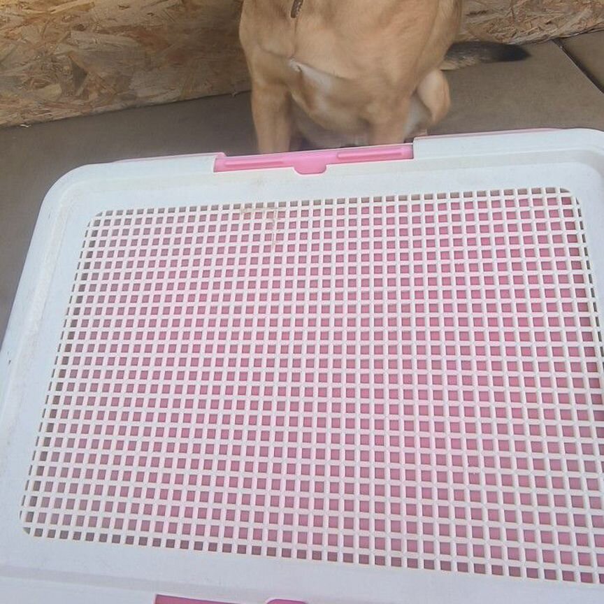 Поддоны для собачего туалета