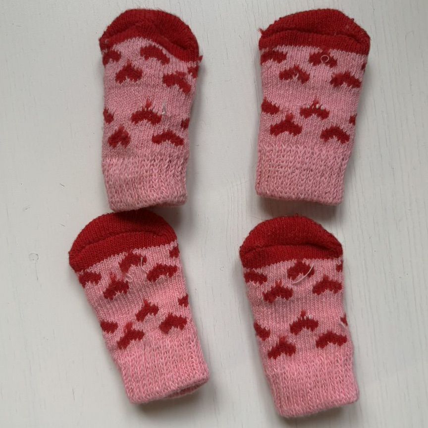 Носки для собак