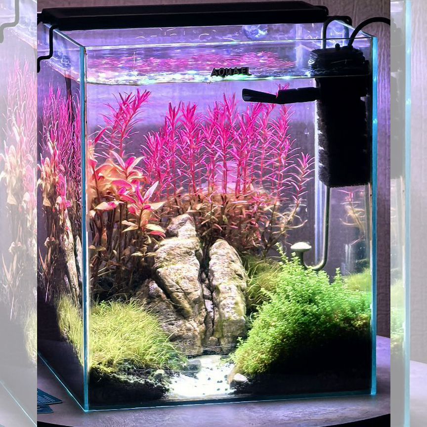 Аквариум aquael 30, rgb свет, фильтр