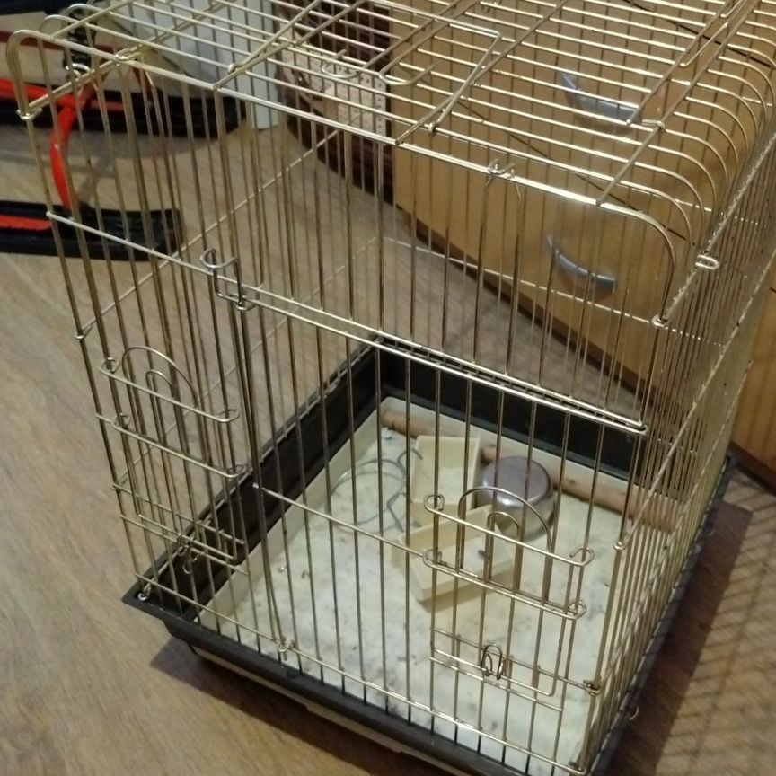 Клетка золотая большая в идеале