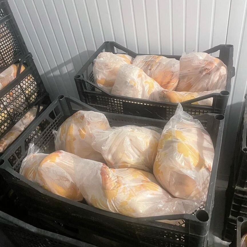 Тушка бройлера