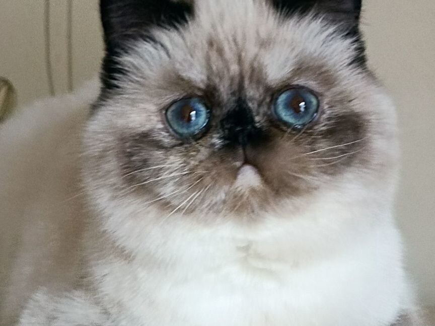 Просто прелесть