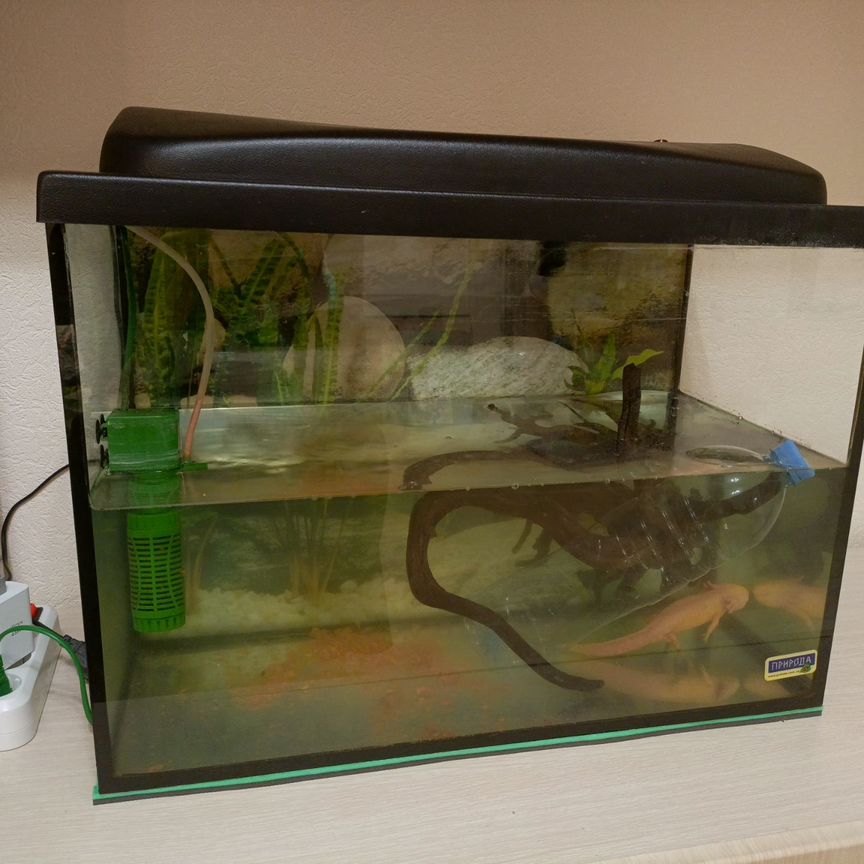 Аквариум с крышкой и подсветкой
