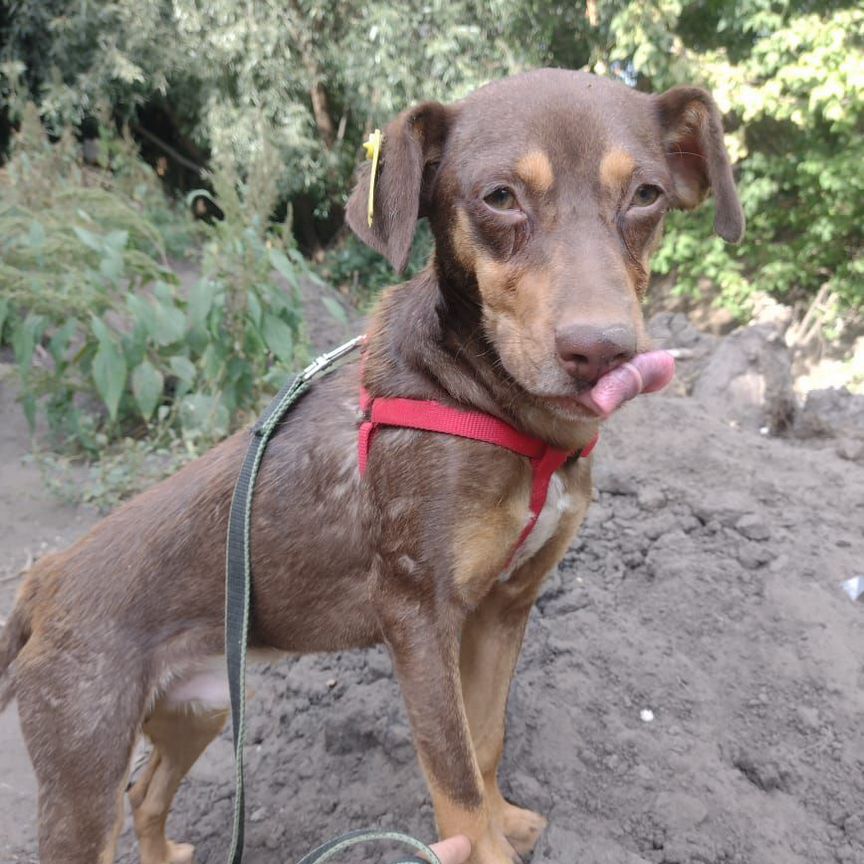 Полностью обработан и привит мальчик