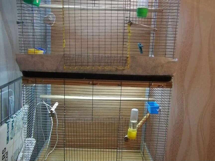 Вольер, клетка для попугаев