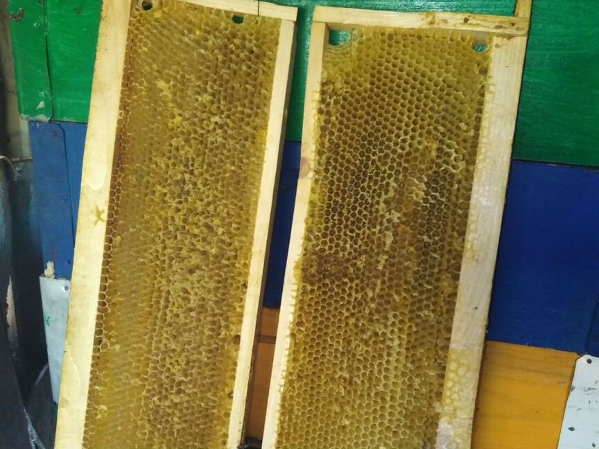 Сушь магазинная