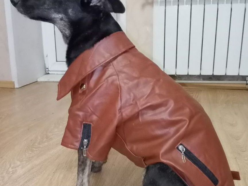 Куртка для собак