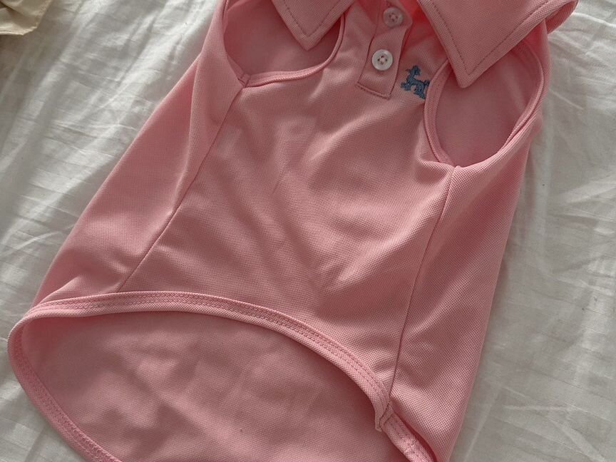 Одежда для собак