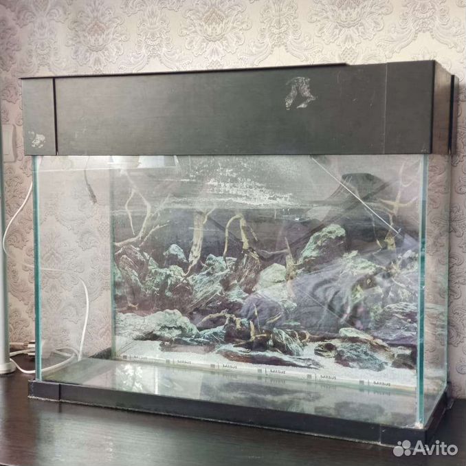 Продаётся аквариум для рыбок. Цена 2500