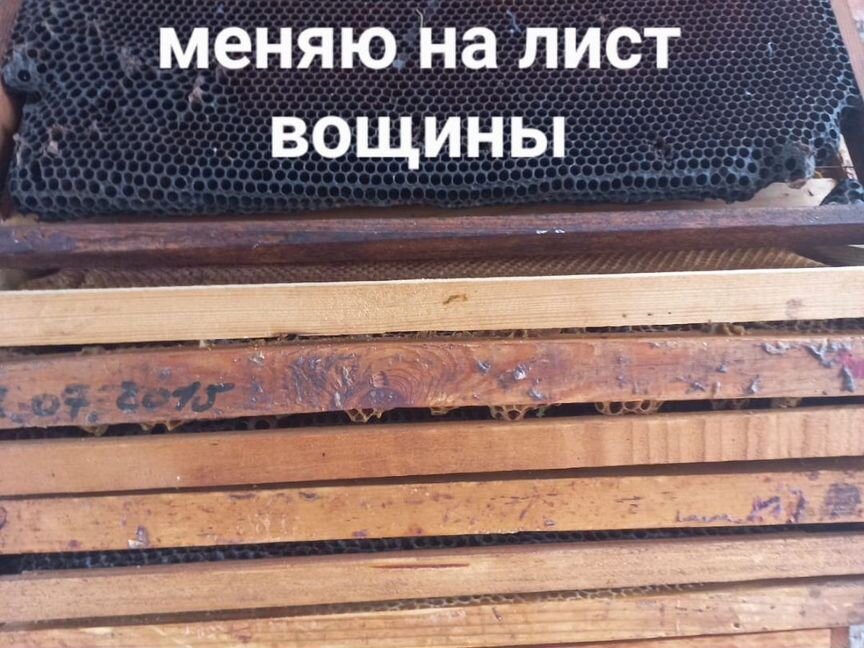 Пчелиная чушь, рамки