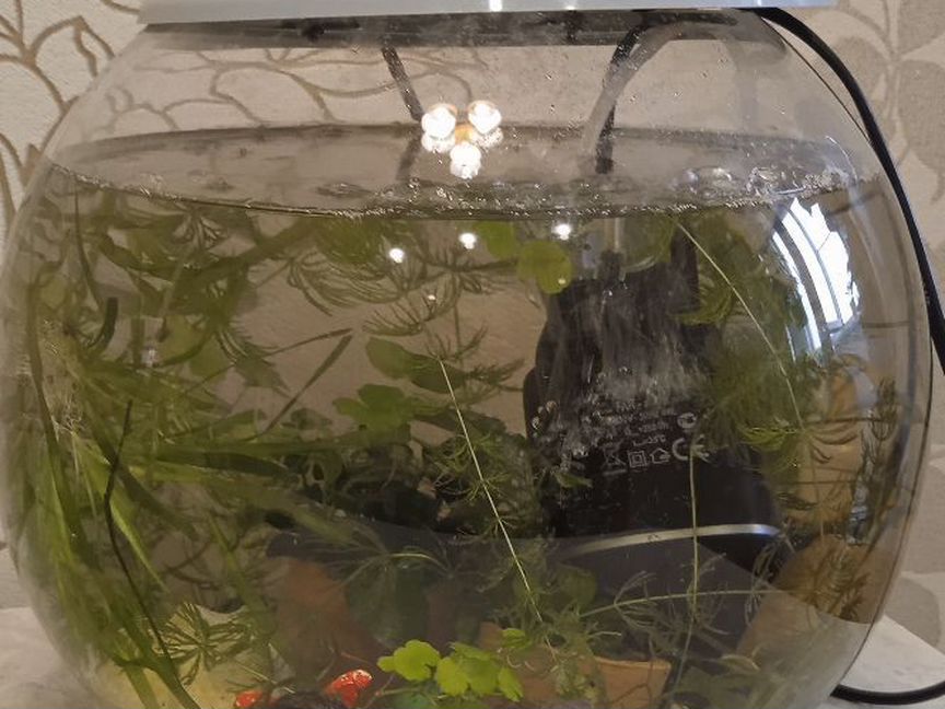 Аквариум круглый с подсветкой 10-15 лит