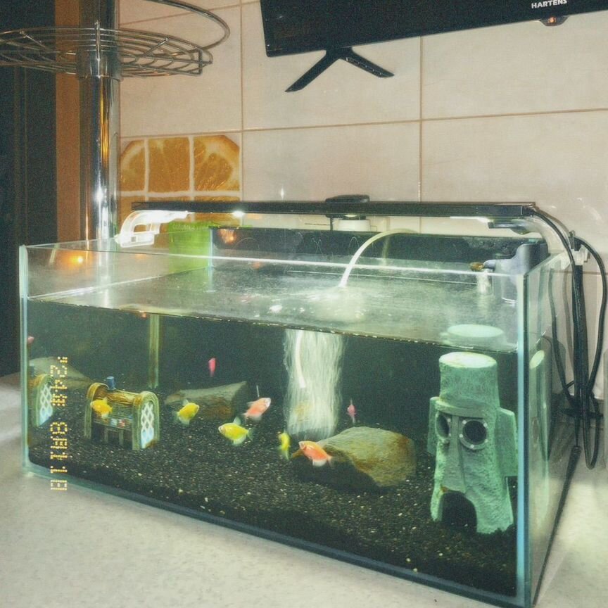Аквариум с рыбками