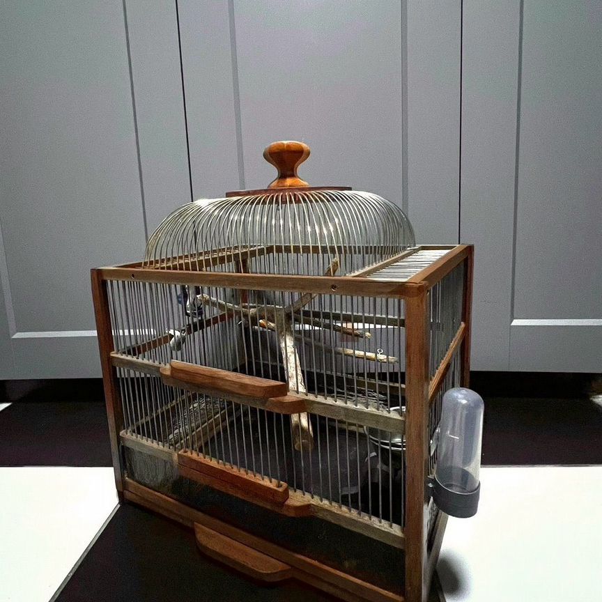 Клетка для птиц